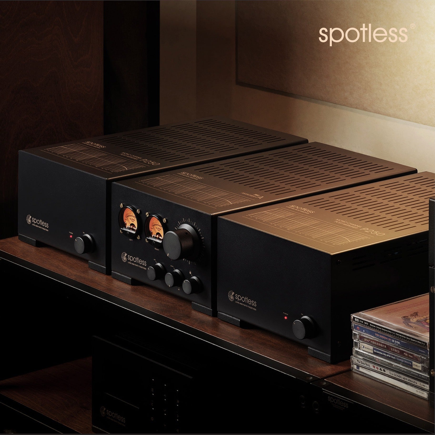 P250 Mono-block Power Amplifier – Spotless Audio